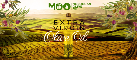 Olive Oil – Moroccan Olive Oil